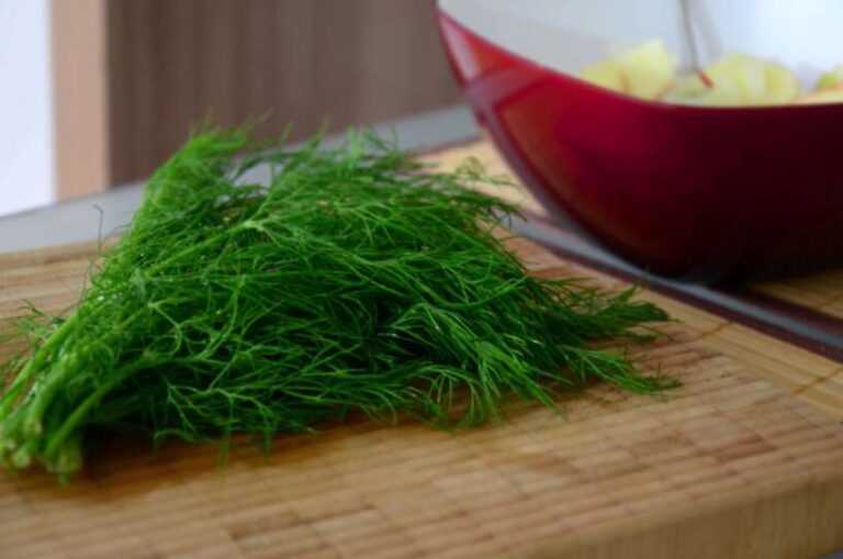 Kāpēc saldētas dilles ir bez garšas un aromāta? 3 padomi, kā sasaldēt ...